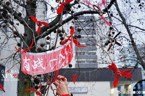 饭圈小公主是哪家粉丝_怎么判断-第2张图片-山城妙识