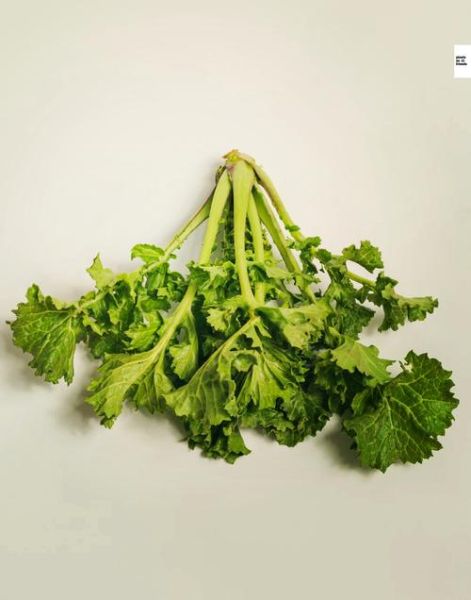 苔菜图片大全大图_苔菜长什么样-第1张图片-山城妙识 苔菜图片大全大图_苔菜长什么样-第1张图片-山城妙识