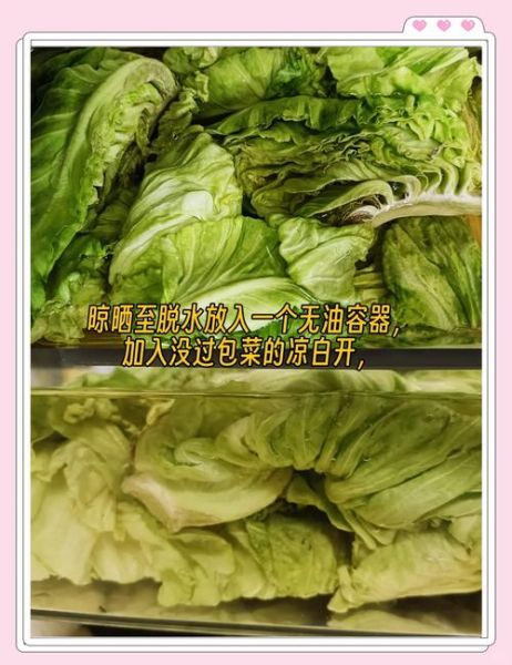 包菜做酸菜的方法_酸菜腌制多久能吃-第3张图片-山城妙识 包菜做酸菜的方法_酸菜腌制多久能吃-第3张图片-山城妙识