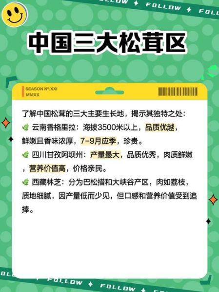 新鲜松茸多少钱一斤_2024最新价格行情-第3张图片-山城妙识