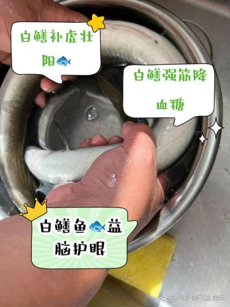 长江白鳝鱼图片大全_如何辨别野生与养殖-第3张图片-山城妙识