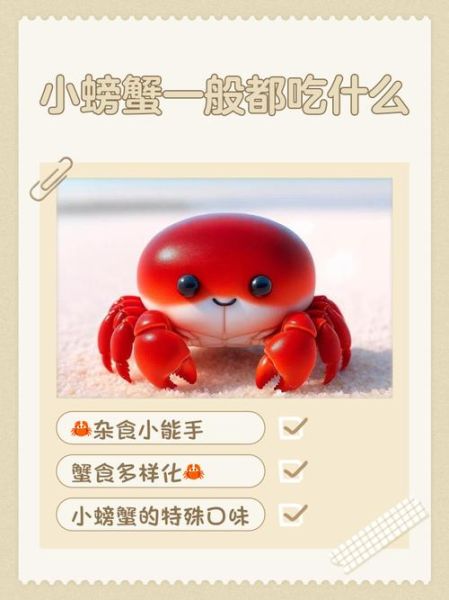 小螃蟹吃什么食物_怎么养-第2张图片-山城妙识
