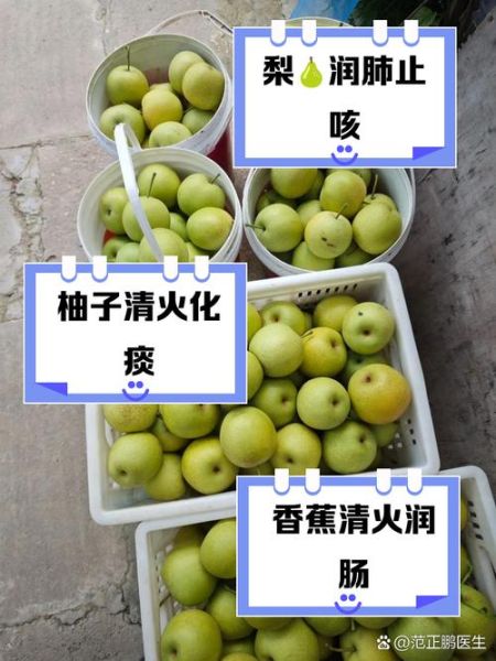 清火的食物和水果有哪些_哪些水果最去火-第3张图片-山城妙识 清火的食物和水果有哪些_哪些水果最去火-第3张图片-山城妙识