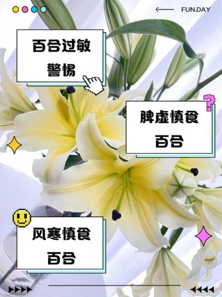哪些人不适合吃百合_百合过敏人群能吃吗-第2张图片-山城妙识