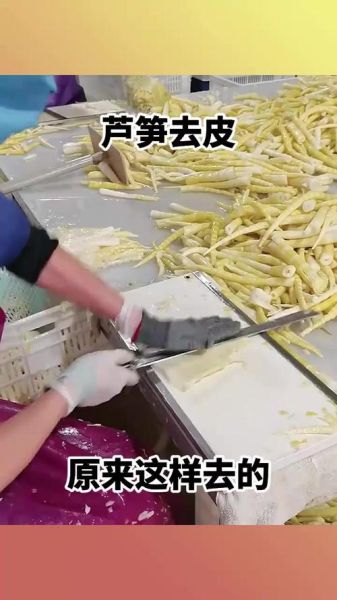 芦笋怎么去皮_芦笋去皮技巧-第1张图片-山城妙识