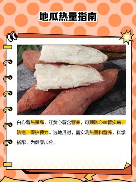 地瓜的营养价值有哪些_地瓜热量高吗-第2张图片-山城妙识 地瓜的营养价值有哪些_地瓜热量高吗-第2张图片-山城妙识