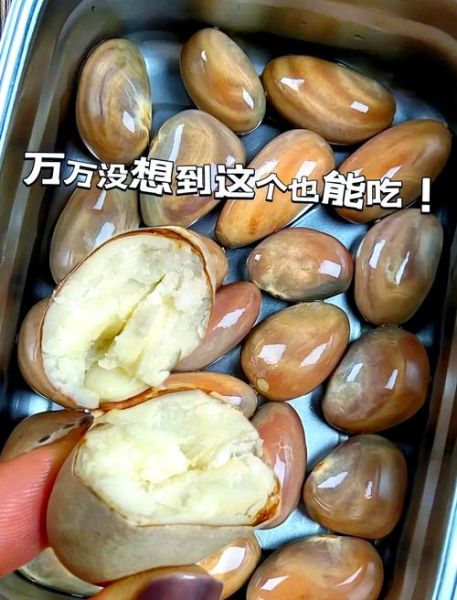 菠萝蜜核怎么吃_菠萝蜜核能吃吗-第1张图片-山城妙识 菠萝蜜核怎么吃_菠萝蜜核能吃吗-第1张图片-山城妙识