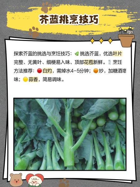 芥蓝和菜心是一个东西吗_芥蓝与菜心的区别-第1张图片-山城妙识