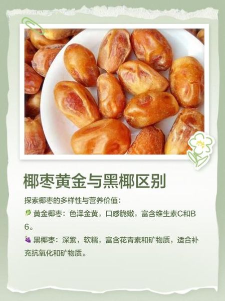 黄金椰枣的功效与作用_黄金椰枣怎么吃最营养-第3张图片-山城妙识