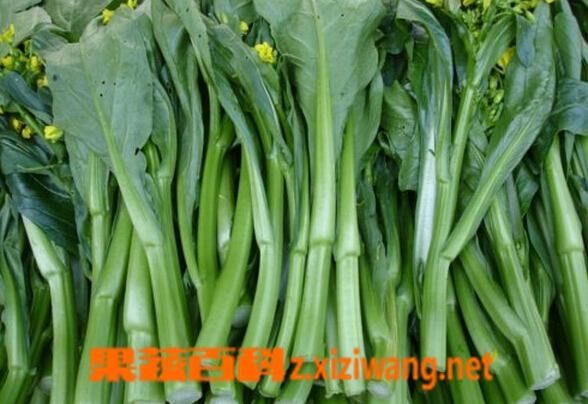 芥蓝和菜心是一个东西吗_芥蓝与菜心的区别-第3张图片-山城妙识