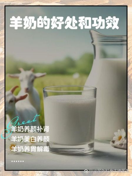鲜羊奶的功效与作用_适合什么人喝-第2张图片-山城妙识