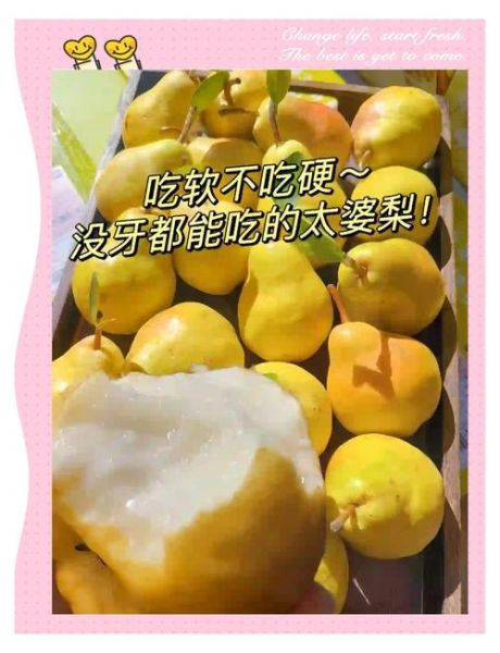 吃着软糯的梨叫什么_软糯梨品种推荐-第1张图片-山城妙识