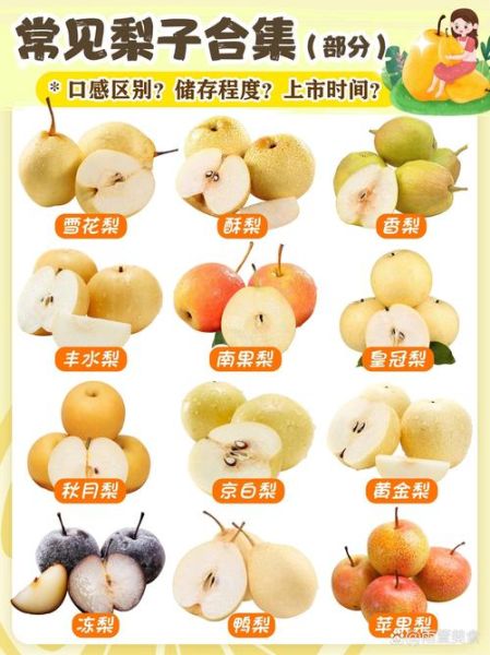 吃着软糯的梨叫什么_软糯梨品种推荐-第2张图片-山城妙识