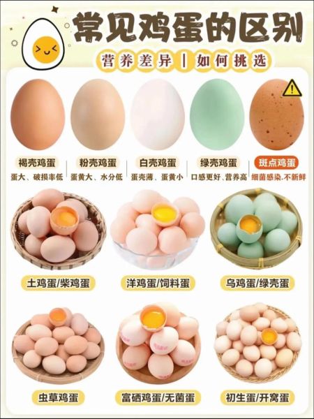 土鸡蛋和普通鸡蛋的区别_土鸡蛋营养价值真的更高吗-第2张图片-山城妙识