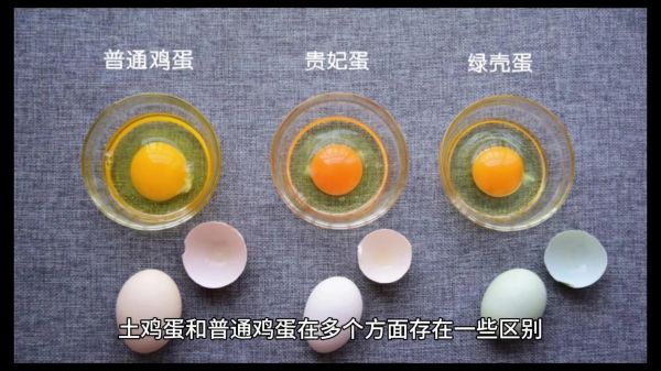 土鸡蛋和普通鸡蛋的区别_土鸡蛋营养价值真的更高吗-第1张图片-山城妙识