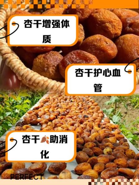 吃杏干的好处与坏处_每天吃多少合适-第3张图片-山城妙识