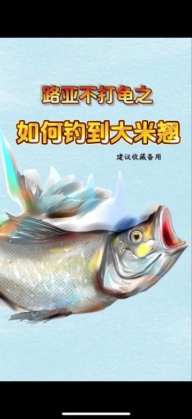 翘嘴鱼怎么钓_翘嘴鱼最佳饵料-第3张图片-山城妙识