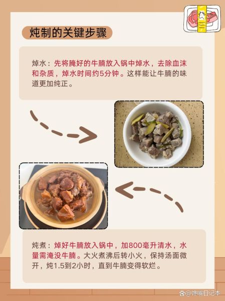 牛腩怎么炖好吃_牛腩炖多久才软烂-第1张图片-山城妙识 牛腩怎么炖好吃_牛腩炖多久才软烂-第1张图片-山城妙识