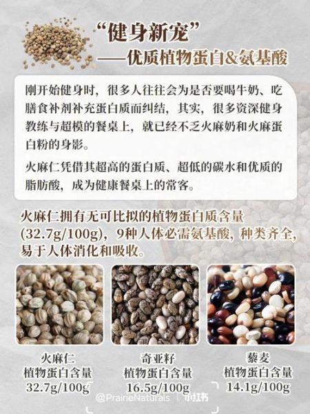 火麻仁油的功效与作用及食用方法_火麻仁油怎么吃最好-第1张图片-山城妙识