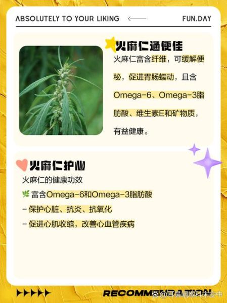 火麻仁油的功效与作用及食用方法_火麻仁油怎么吃最好-第3张图片-山城妙识
