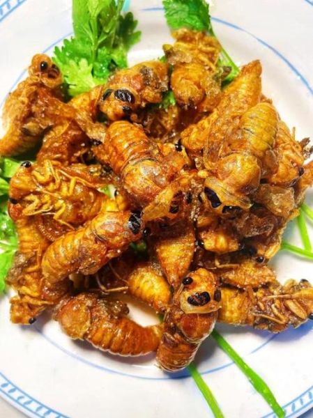 知了怎么做好吃_知了怎么炸才酥脆-第1张图片-山城妙识