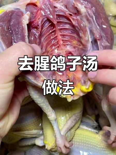 炖鸽子汤怎么做好吃_鸽子汤去腥增鲜技巧-第2张图片-山城妙识 炖鸽子汤怎么做好吃_鸽子汤去腥增鲜技巧-第2张图片-山城妙识