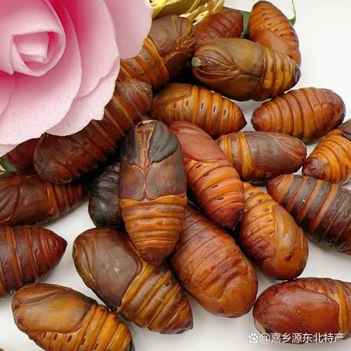 蚕蛹的热量高吗_蚕蛹减肥能吃吗-第3张图片-山城妙识