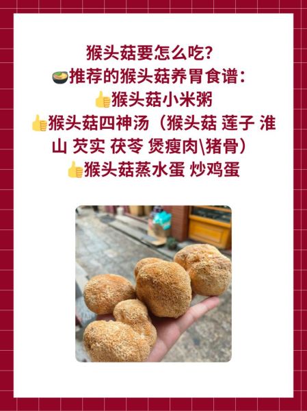 猴头菇怎么吃_猴头菇正确吃法-第1张图片-山城妙识