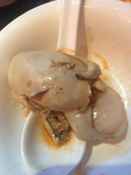 象拔蚌骂人是什么意思_网络梗起源解析-第1张图片-山城妙识