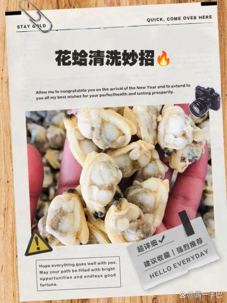 正宗花蛤怎么清洗_花蛤吐沙最快的方法-第1张图片-山城妙识 正宗花蛤怎么清洗_花蛤吐沙最快的方法-第1张图片-山城妙识