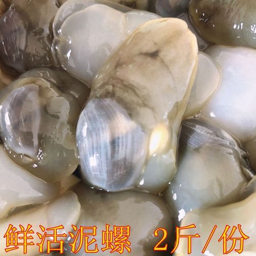 泥螺什么人不宜吃_泥螺禁忌人群-第1张图片-山城妙识