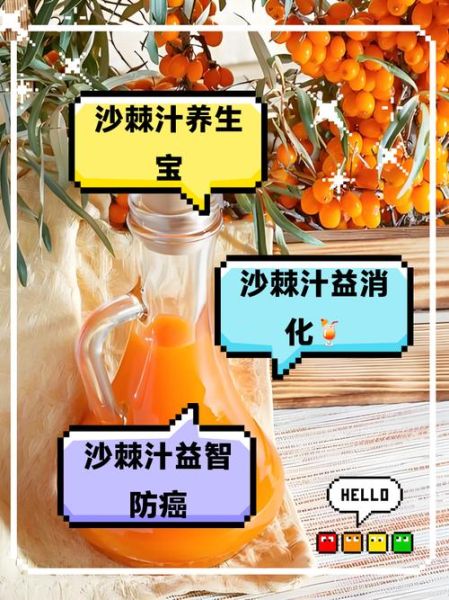 沙棘汁的副作用有哪些_沙棘汁喝多了有什么危害-第1张图片-山城妙识