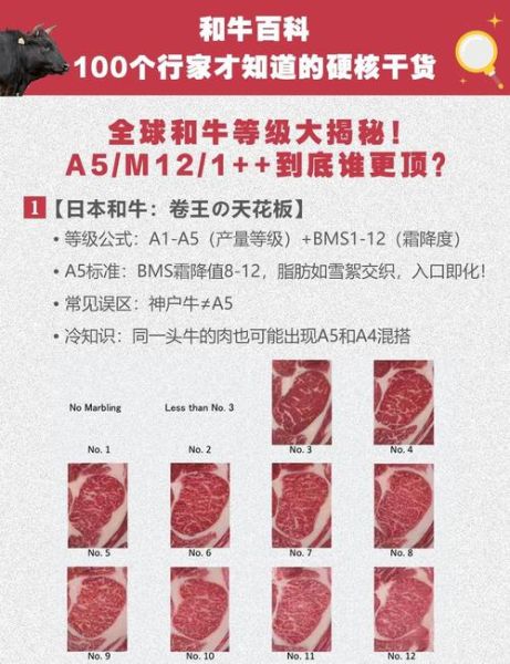 和牛是什么_和牛等级怎么分-第2张图片-山城妙识 和牛是什么_和牛等级怎么分-第2张图片-山城妙识