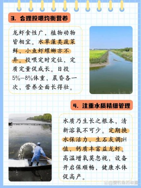 龙虾养殖条件_龙虾养殖需要什么条件-第2张图片-山城妙识