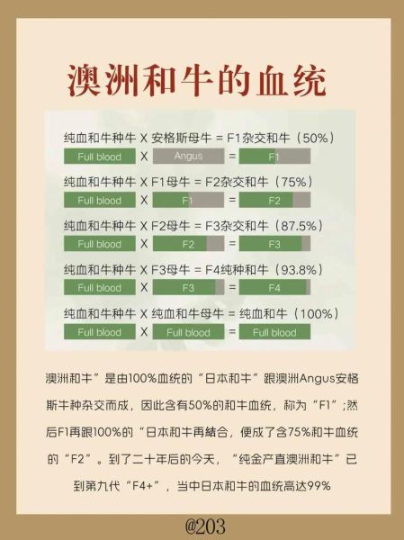 和牛是什么_和牛等级怎么分-第3张图片-山城妙识 和牛是什么_和牛等级怎么分-第3张图片-山城妙识