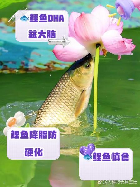 鲤鱼的营养价值_鲤鱼的功效与禁忌-第1张图片-山城妙识