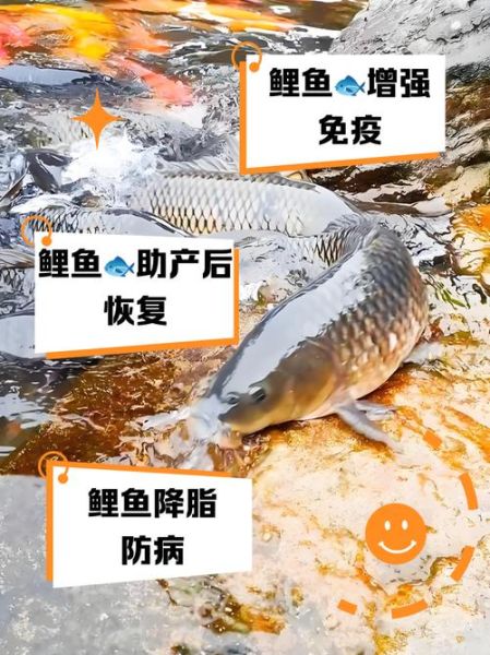 鲤鱼的营养价值_鲤鱼的功效与禁忌-第3张图片-山城妙识