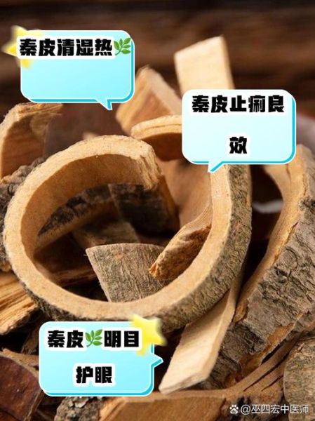 秦皮的功效与作用有哪些_秦皮能治疗哪些疾病-第1张图片-山城妙识 秦皮的功效与作用有哪些_秦皮能治疗哪些疾病-第1张图片-山城妙识