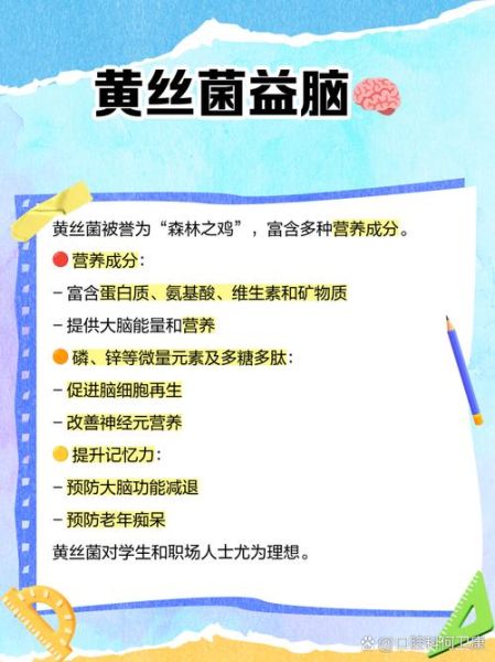 野生黄丝菌能吃吗_野生黄丝菌怎么做好吃-第1张图片-山城妙识