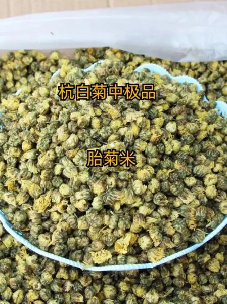杭白菊图片怎么区分真假_杭白菊和胎菊哪个好-第2张图片-山城妙识