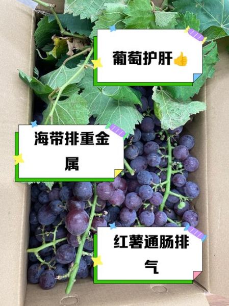 解肝毒最强的食物有哪些_如何吃才有效-第2张图片-山城妙识 解肝毒最强的食物有哪些_如何吃才有效-第2张图片-山城妙识