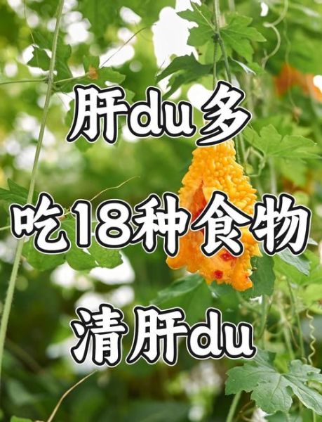 解肝毒最强的食物有哪些_如何吃才有效-第3张图片-山城妙识 解肝毒最强的食物有哪些_如何吃才有效-第3张图片-山城妙识