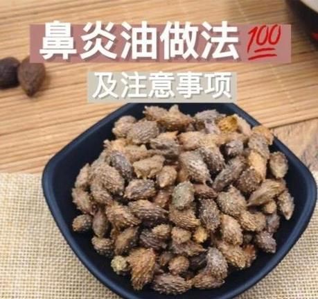 苍耳香油鼻炎做法_苍耳子油治鼻炎有效吗-第2张图片-山城妙识 苍耳香油鼻炎做法_苍耳子油治鼻炎有效吗-第2张图片-山城妙识
