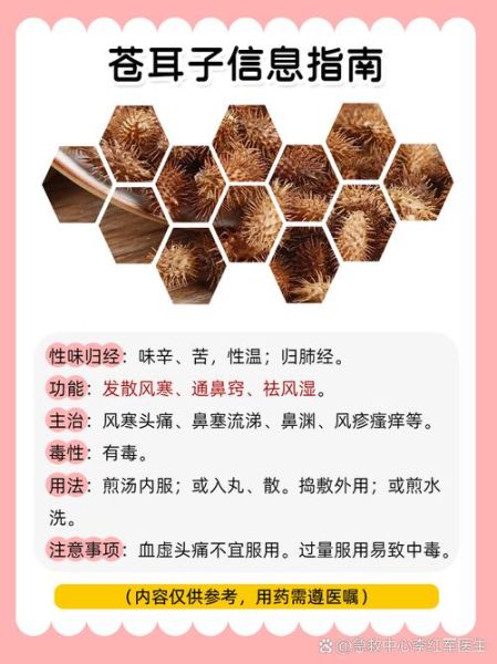 苍耳香油鼻炎做法_苍耳子油治鼻炎有效吗-第3张图片-山城妙识 苍耳香油鼻炎做法_苍耳子油治鼻炎有效吗-第3张图片-山城妙识