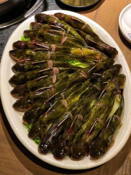 黄辣丁不能和什么一起吃_孕妇能吃黄辣丁吗-第2张图片-山城妙识