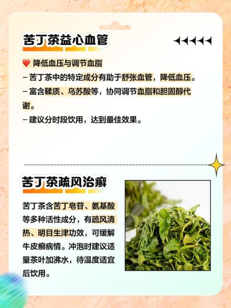 苦丁茶怎么泡最好_苦丁茶一次泡几根-第1张图片-山城妙识 苦丁茶怎么泡最好_苦丁茶一次泡几根-第1张图片-山城妙识