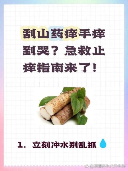 麻山药过敏手痒怎么办_麻山药手痒怎么快速止痒-第2张图片-山城妙识