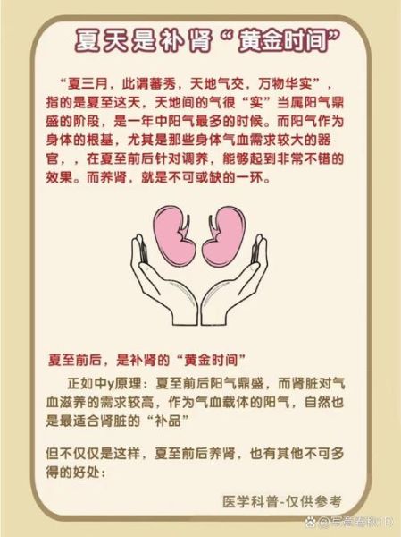 补肾的方法最好的方法_肾虚怎么调理最有效-第3张图片-山城妙识