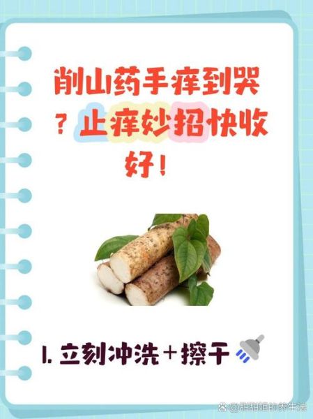 麻山药过敏手痒怎么办_麻山药手痒怎么快速止痒-第3张图片-山城妙识