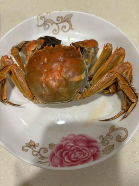 太湖大闸蟹批发市场在哪里_正宗货源怎么找-第1张图片-山城妙识